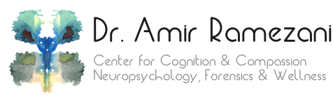 Pay Center – Dr. Amir Ramezani